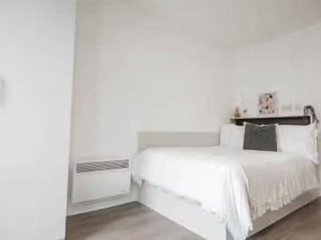 Cozy 1 BR Classic Studio
