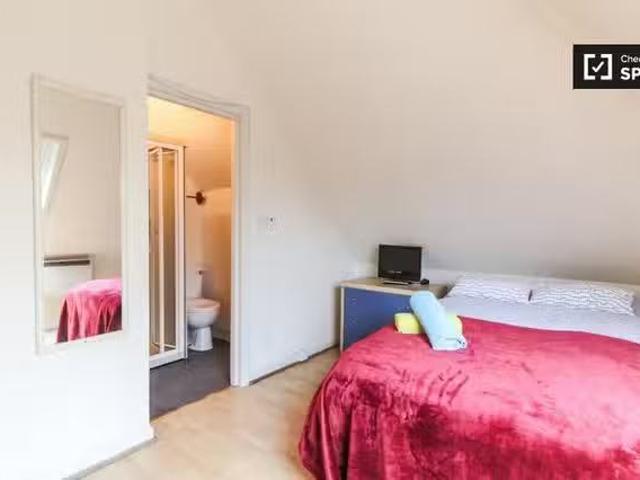 Nice 1 BR Bright studio apartment for rent in Mapesbury, London