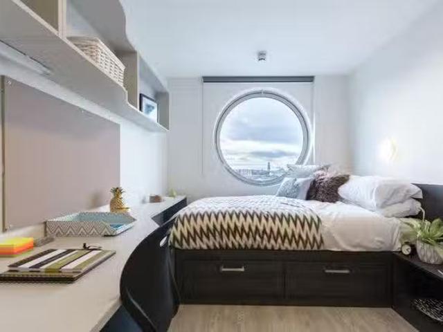 New 1 BR Livin, Cardiff Classic Studio