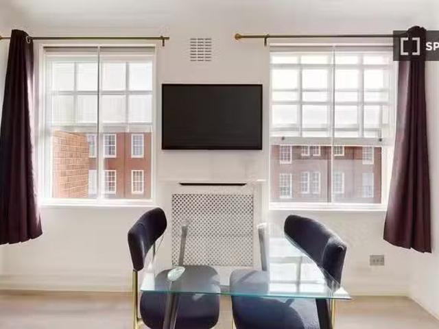 New 1 BR Studio for rent in London