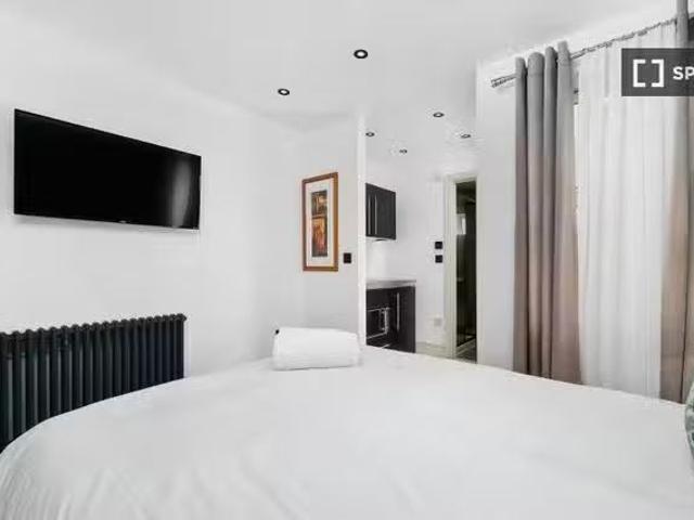 Just in! 1 BR Studio for rent in London