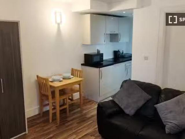 New 1 BR Studio for rent in London