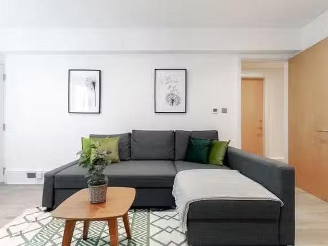 Unique 1 BR Trebovir Road