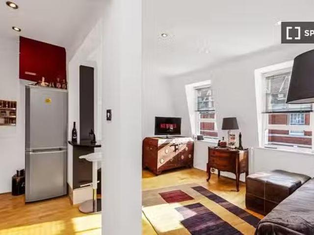 Cheap 1 Room 1 bedroom apartment for rent in Bryanston, London