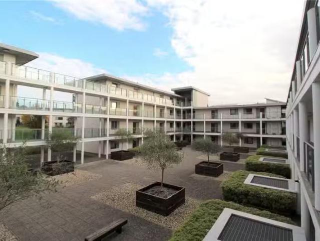 Charming 2 BA 2 bedroom apartment for rent in Brooking House.