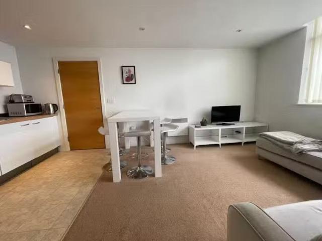 Unique 2 bedroom apartment for rent in Waterfront Walk, Birmin.