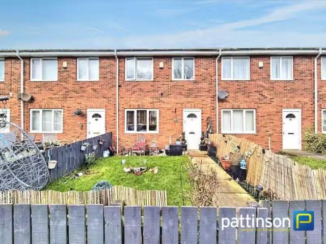 Deal! 3 bed house to rent in Store Terrace, DH5, Houghton Le S.