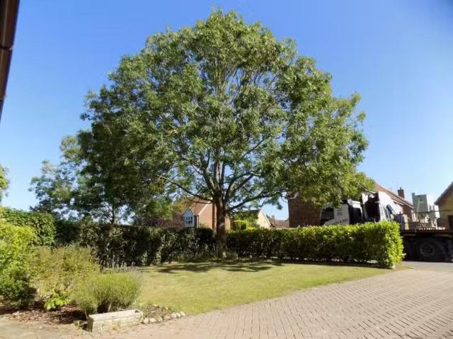 Cozy 5 bedroom detached house for rent in The Spinnaker, CM3