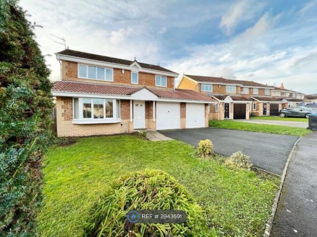 Dean Park, Co Durham DL17, 4 bed detached house to rent, £1,050 pcm | PrimeLocation