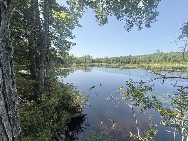 Dearborn Hl, Bridgton, Plot For Sale
