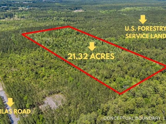 Deas Hill Rd, McClellanville, SC 29458