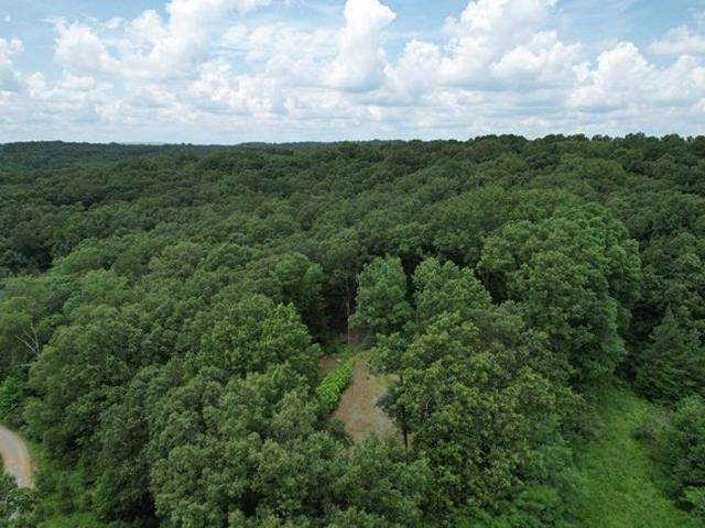 Decker Springs Rd, Cave In Rock, IL 62919