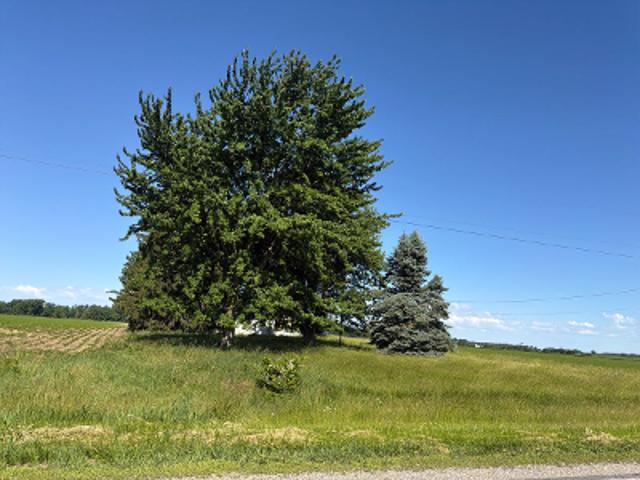 Decker Rd