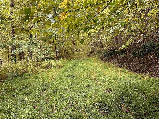Deckers Trail Rd Lot 6, Masontown, WV 26542