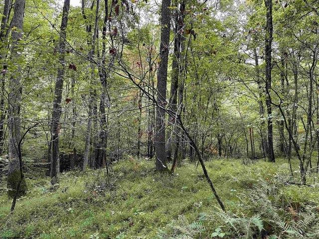 Deckers Trail Rd Lot 7, Masontown, WV 26542
