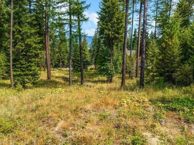 Deeter Dr Lot 12, Priest River, ID 83856