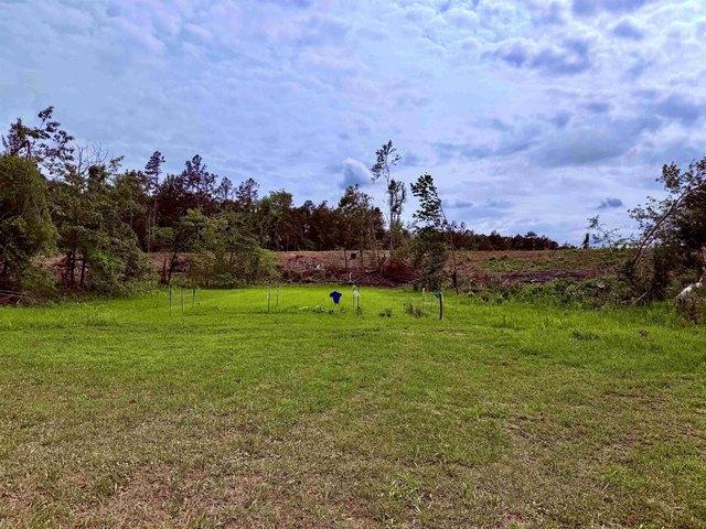 Dee Moore Rd, Selmer, TN 38375