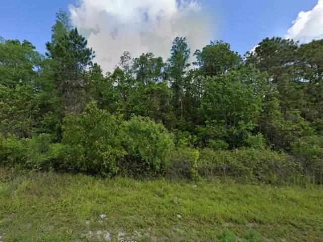 Deen Still Rd, Polk City, FL 33868 | MLS #O6228 | Compass