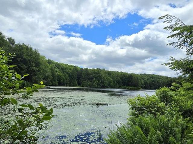 Deep Hollow Run Lot 9, Muncy Valley, PA 17758
