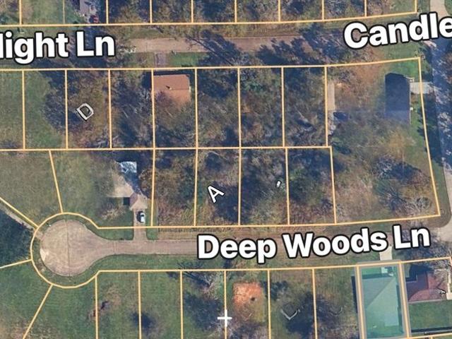 Deep Woods Ln, Livingston, TX 77351