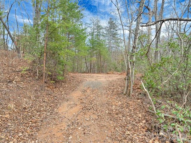 Deep Woods Ln Unit 102, Saluda, NC 28773