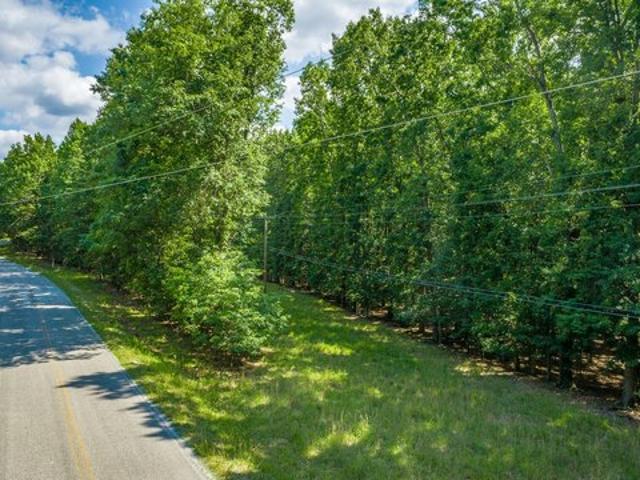 Deep Woods Rd, Sewanee, TN 37375