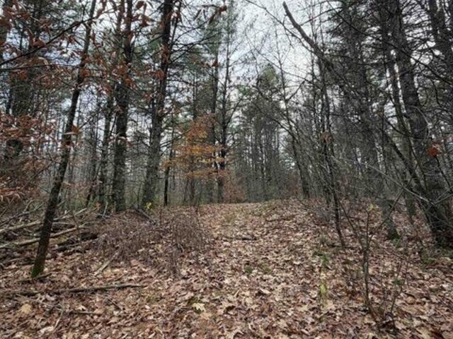Deer Meadow Rd, Webster, Plot For Sale