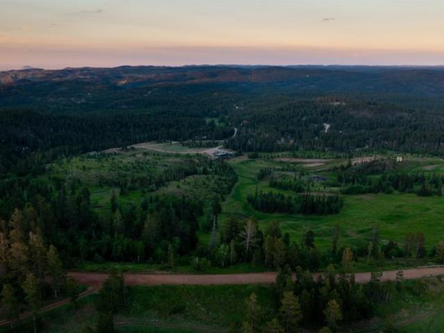 Deer Mountain Rd Lot 75, Lead, SD 57754