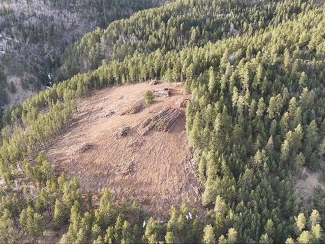 Deer Mountain Rd Lot 193, Lead, SD 57754