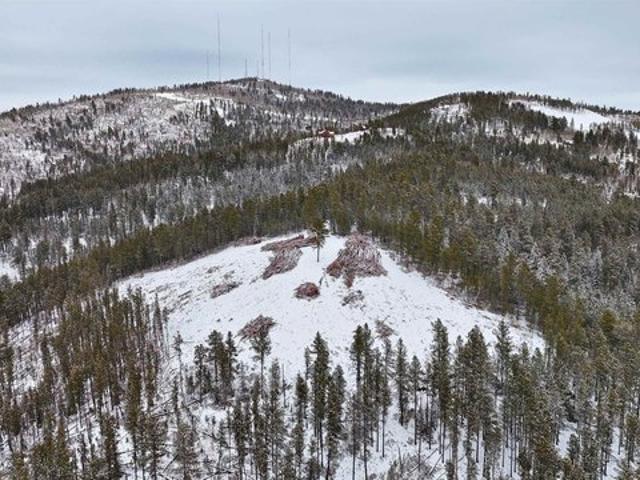Deer Mountain Rd Lot 193, Lead, SD 57754