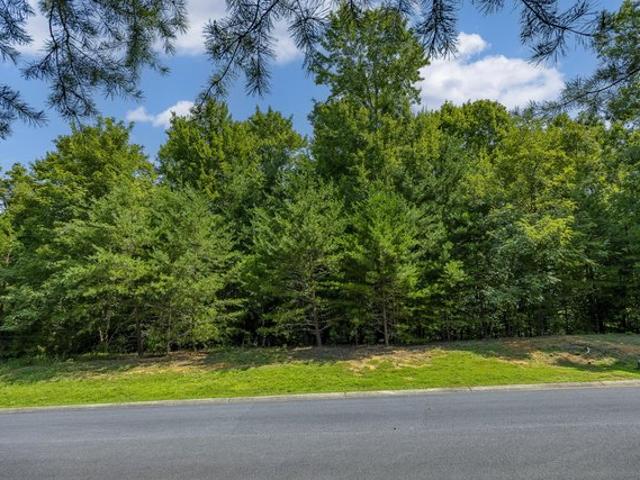 Deer Chase Trl Lot 35, Dandridge, TN 37725