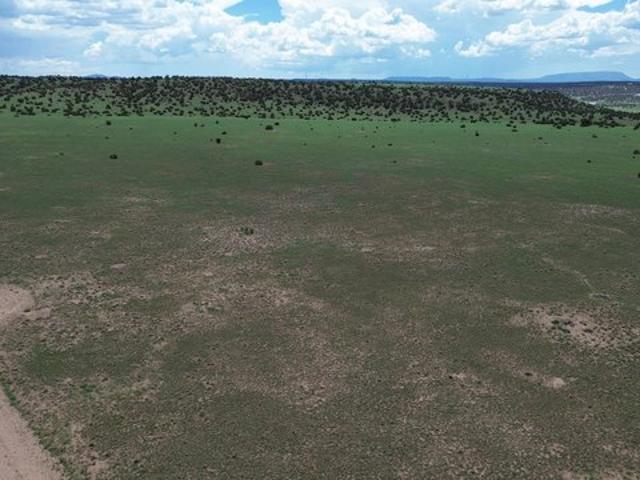 Deer Cir Lot 169, Quemado, NM 87829