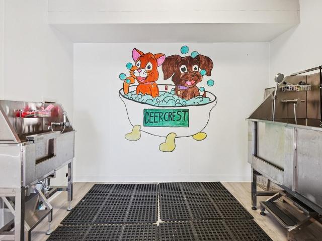 Deer Crest Apartments 2 Bedroom Apartment for Rent at 2200 W 10th Ave, Broomfield, CO 80020 Lac Amora