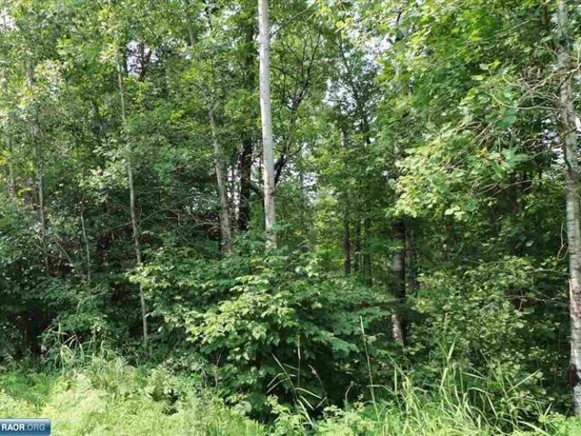 Deer Forest Rd, Aurora, MN 55705