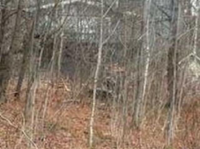 Deer Hill Rd