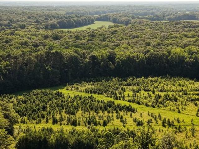 Deer Hill Rd, Nettleton, MS 38858