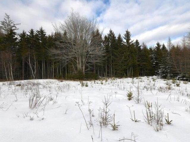 Deer Isle ME 04627 102478763