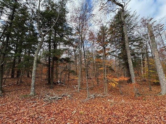 Deer Lane Rd, Washington Island, WI 54246