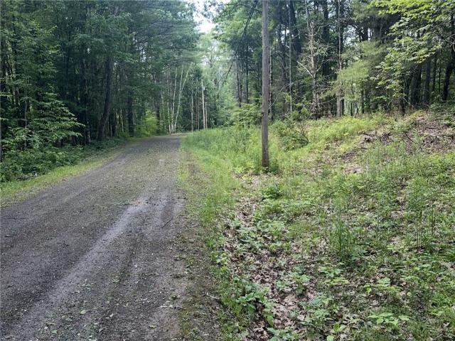 Deer Path