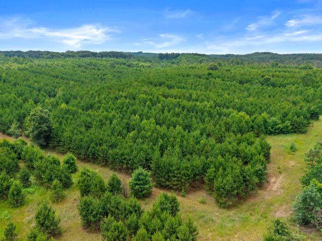 Deer Path, Unit 4, Hancock, WI 54943 | MLS #50311 | Compass