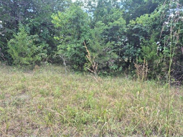 Deer Run Ave, Protem, MO 65733