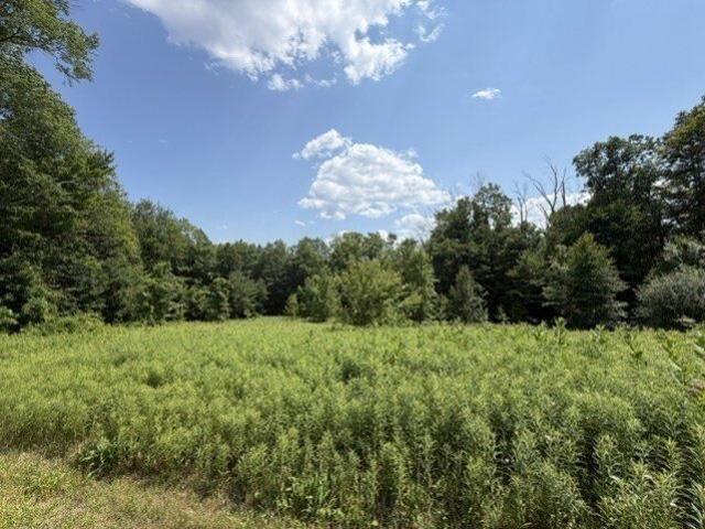 Deer Run, Becket, Plot For Sale