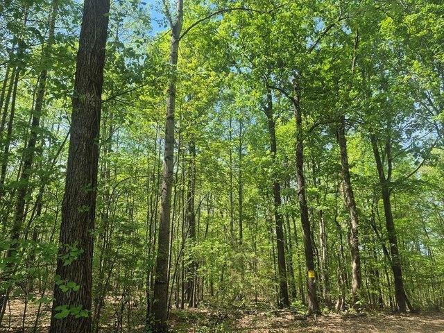 Deer Run Lot 13, Farmville, VA 23901