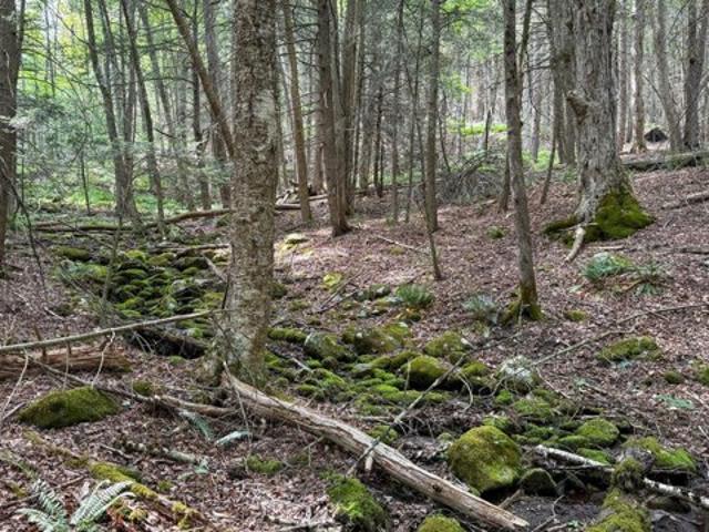 Deer Run Lot,becket, Plot For Sale
