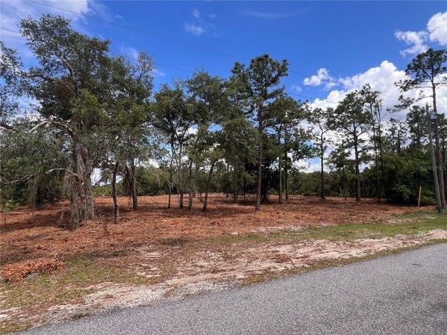 Deer Rd, Frostproof, FL 33843