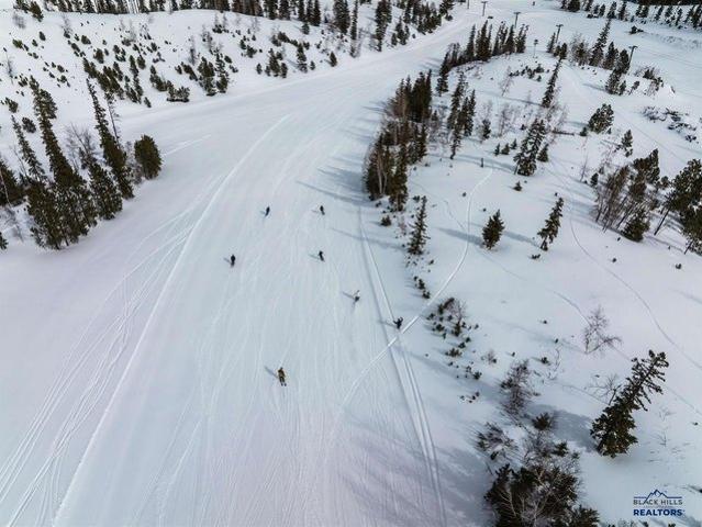 Deer Resort Mtn Lot 35, Lead, SD 57754