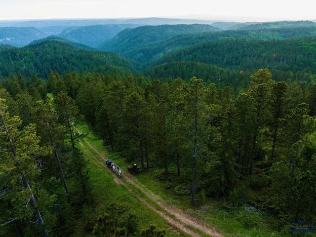 Deer Resort Mtn Lot 41, Lead, SD 57754