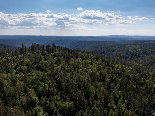 Deer Resort Mtn Lot 58, Lead, SD 57754