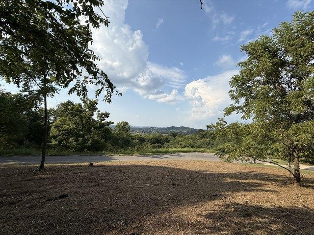 Deer Ridge Rd, Columbia, TN 38401