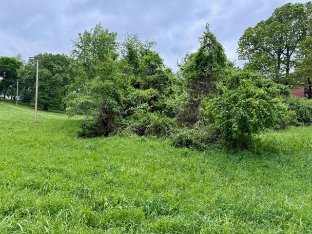 Deer Ridge Road